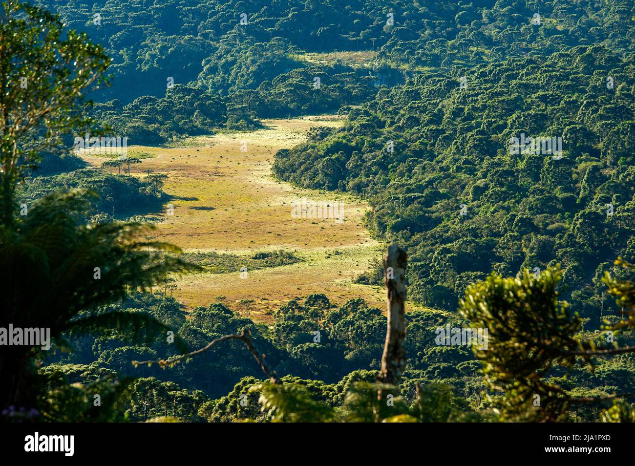 Green valleys at Urubici, on the Serra Catarinense, a popular hill ...