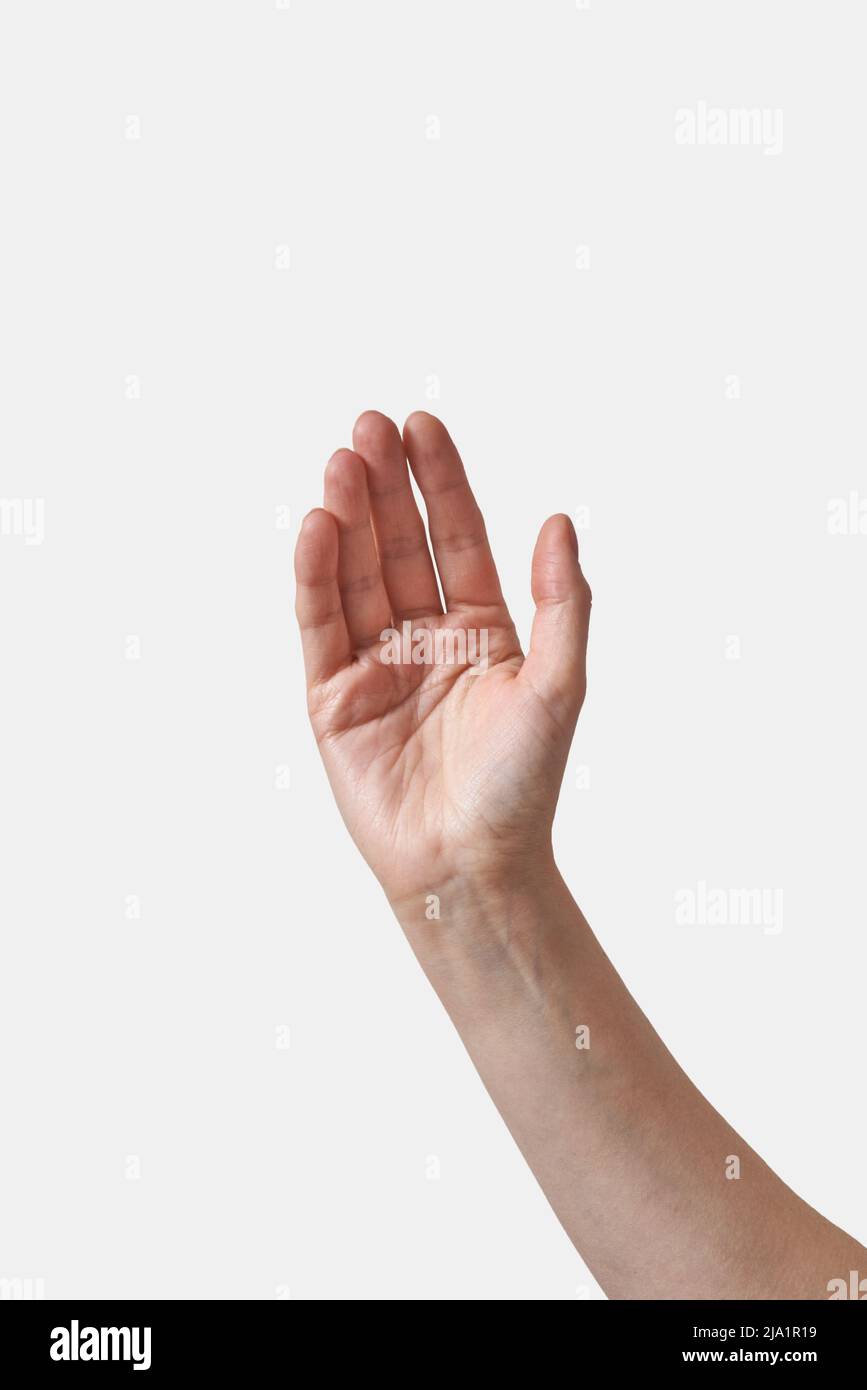 Reaching raising up female hand on white Stock Photo - Alamy