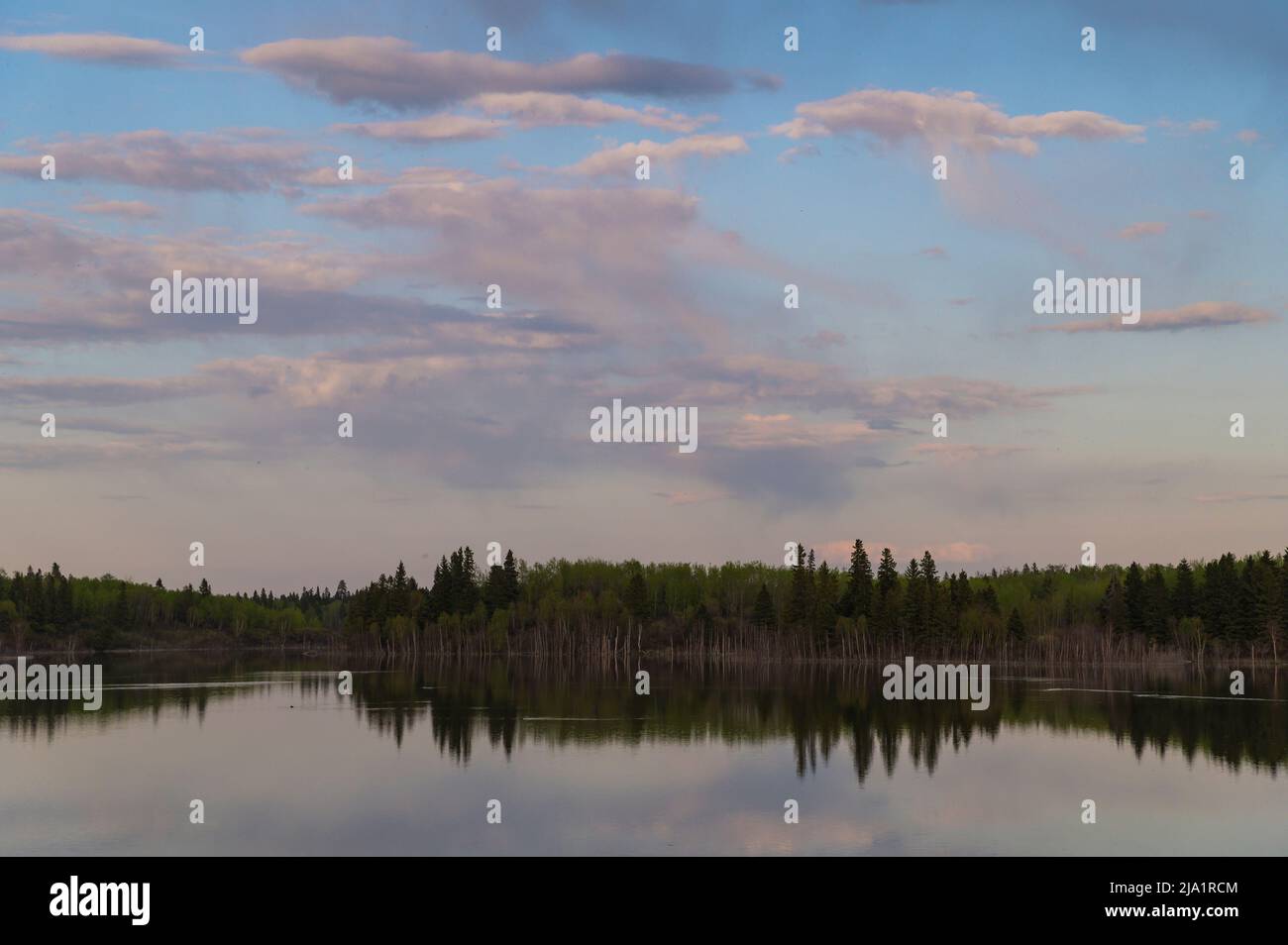 Boreal forest island hi-res stock photography and images - Alamy