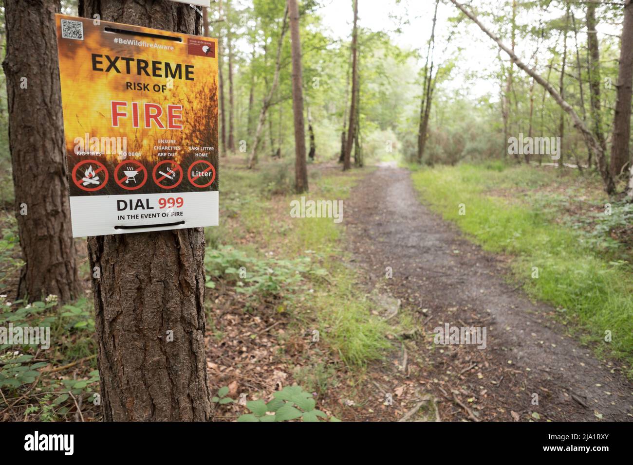 Extreme risk of fire Stock Photo - Alamy