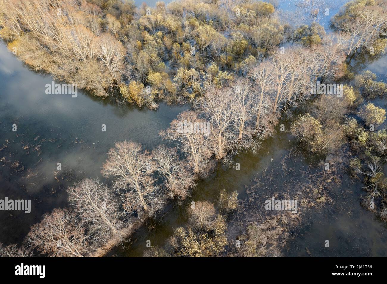 Flooded forest from above in Finland Stock Photo - Alamy