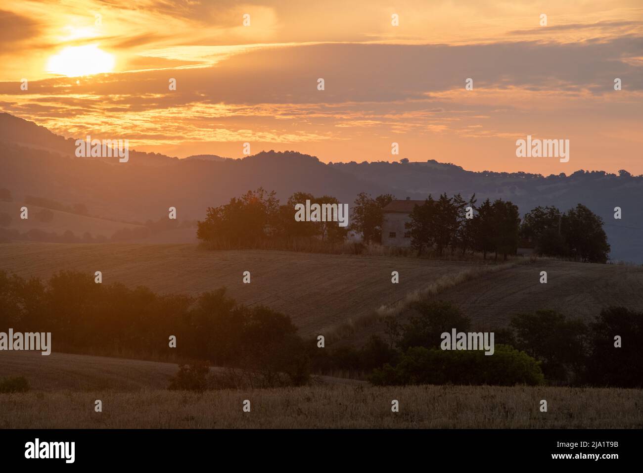 Tuscan vegetation hi-res stock photography and images - Alamy
