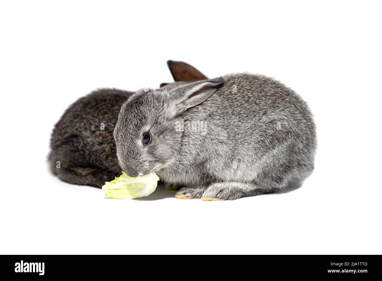 Year 2023 Cut Out Stock Images & Pictures - Alamy