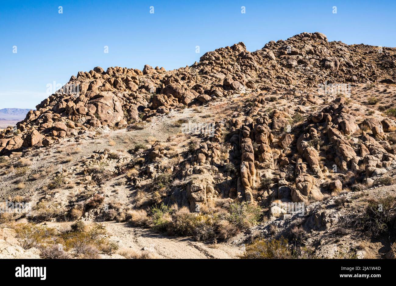 The landscape along the start of the 49 Palms Oasis trail, Joshua Tree ...
