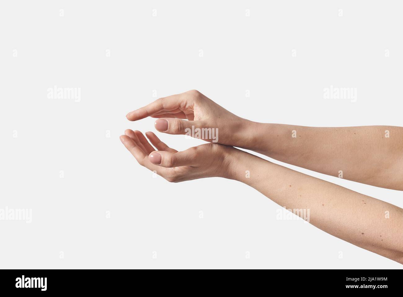 Open female hands, gentle hold, care on white Stock Photo - Alamy