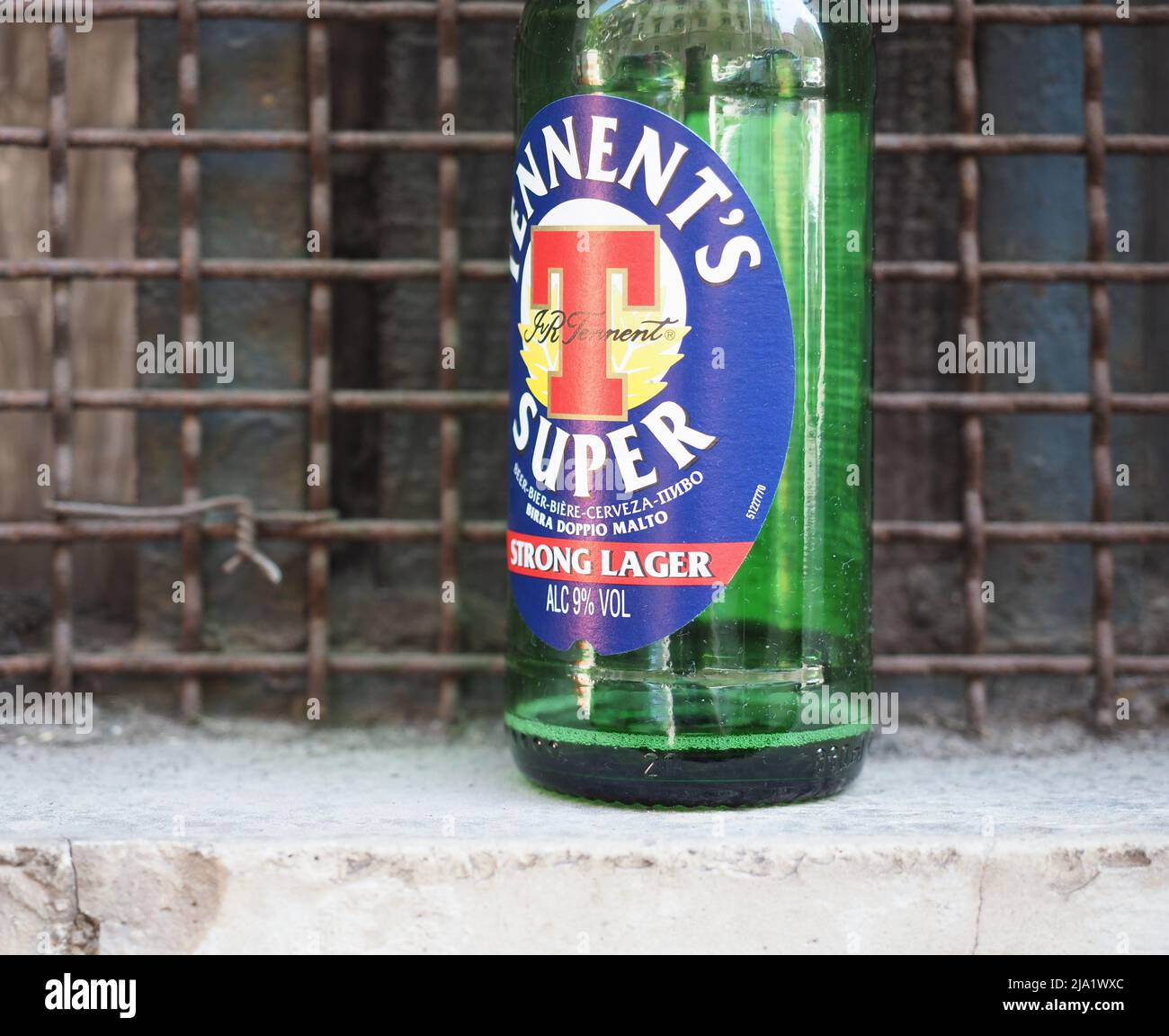TURIN, ITALY - CIRCA MAY 2022: Bottle of Tennent's Super strong lager ...