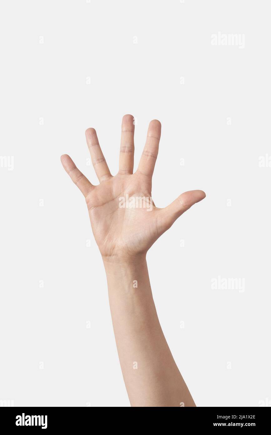 Counting on fingers, four inner palm Stock Photo - Alamy
