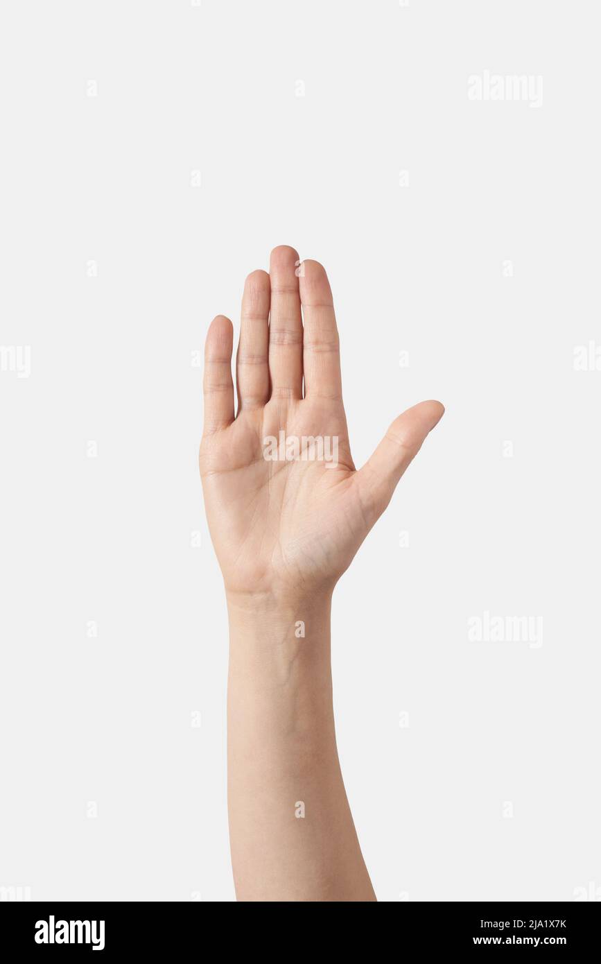 Raised up asking, volunteering female hand on white Stock Photo - Alamy