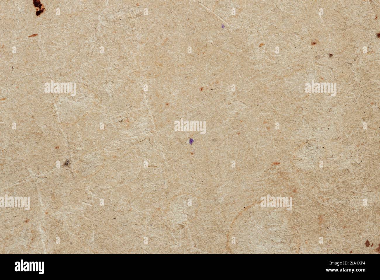 Texture of old moldy paper with dirt stains, cardboard texture Stock ...