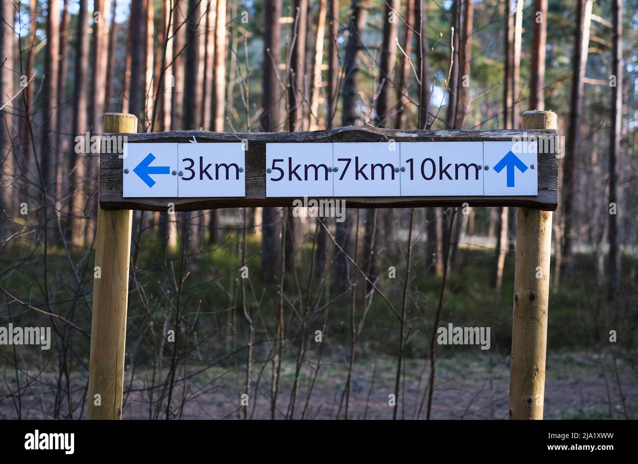 A wooden pole with an indicator of the direction and distance of a ...