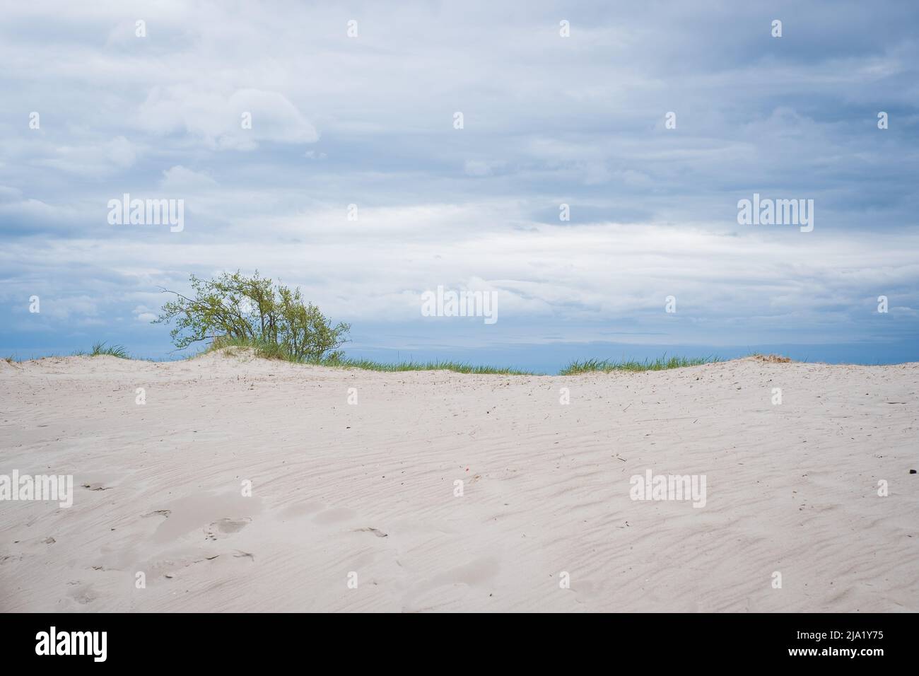 Empty sand dunes and blue sky. Beach background. Relaxing scenic ...