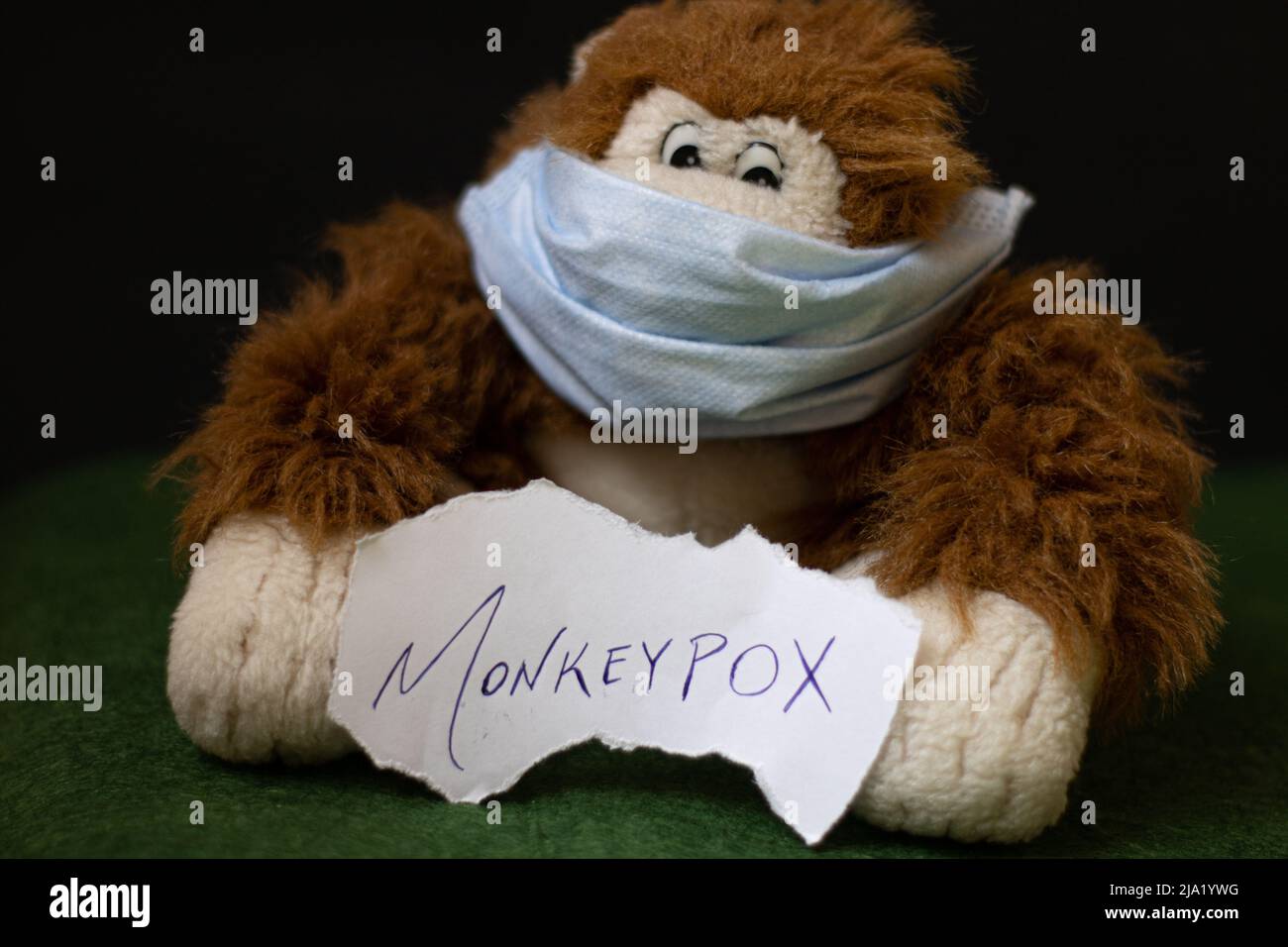Masked Monkey toy holding tag with monkeypox Stock Photo - Alamy