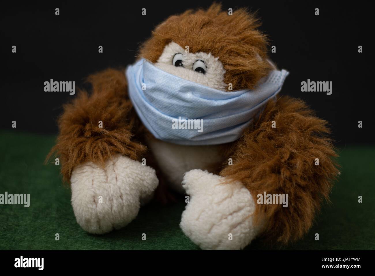 Masked monkey hi-res stock photography and images - Alamy