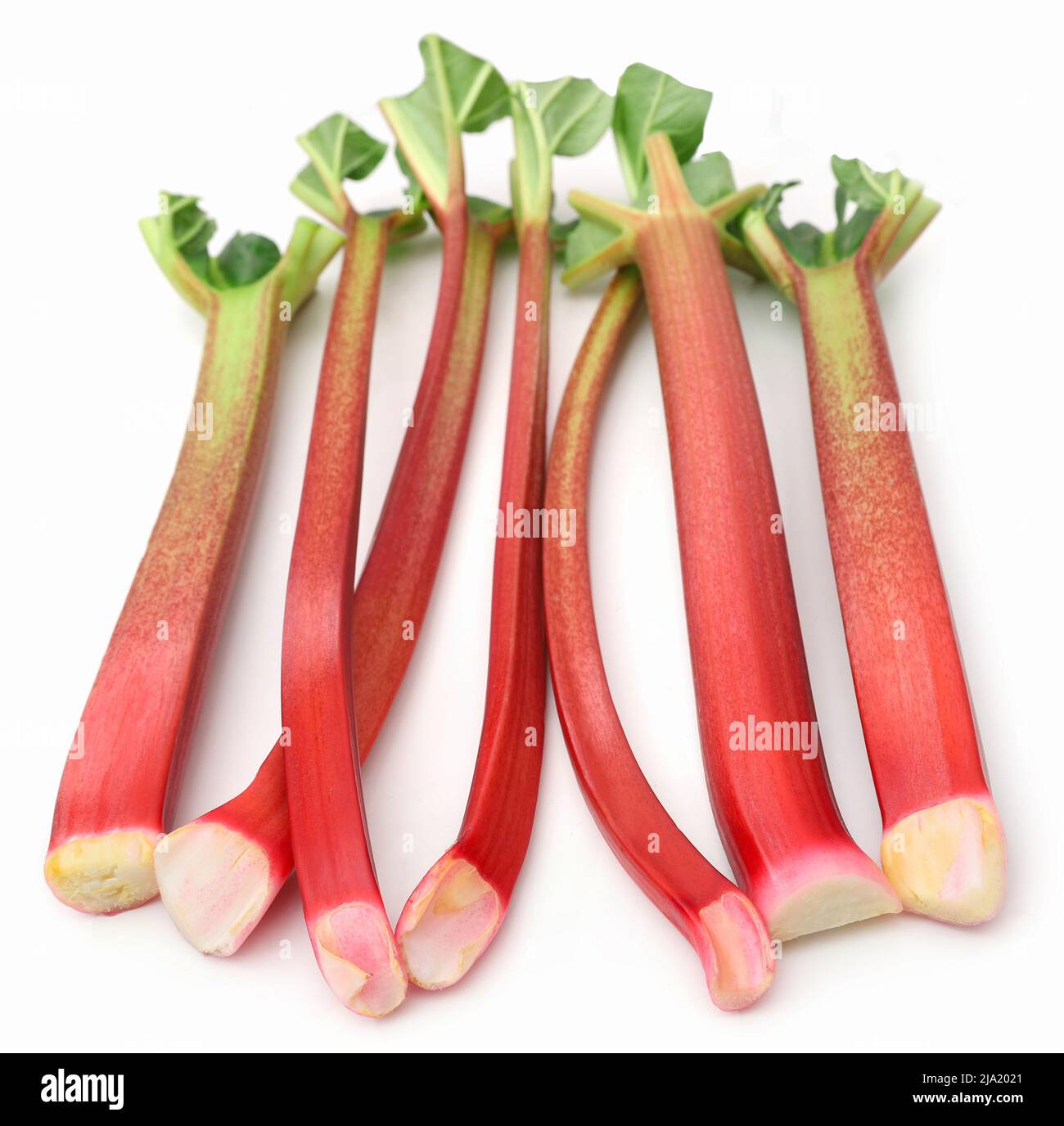 Fresh rhubarb over white background Stock Photo - Alamy