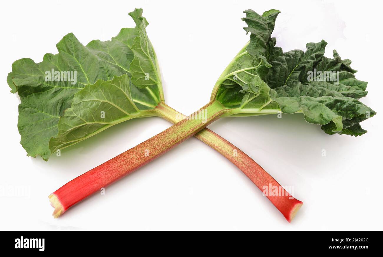 Fresh rhubarb over white background Stock Photo - Alamy