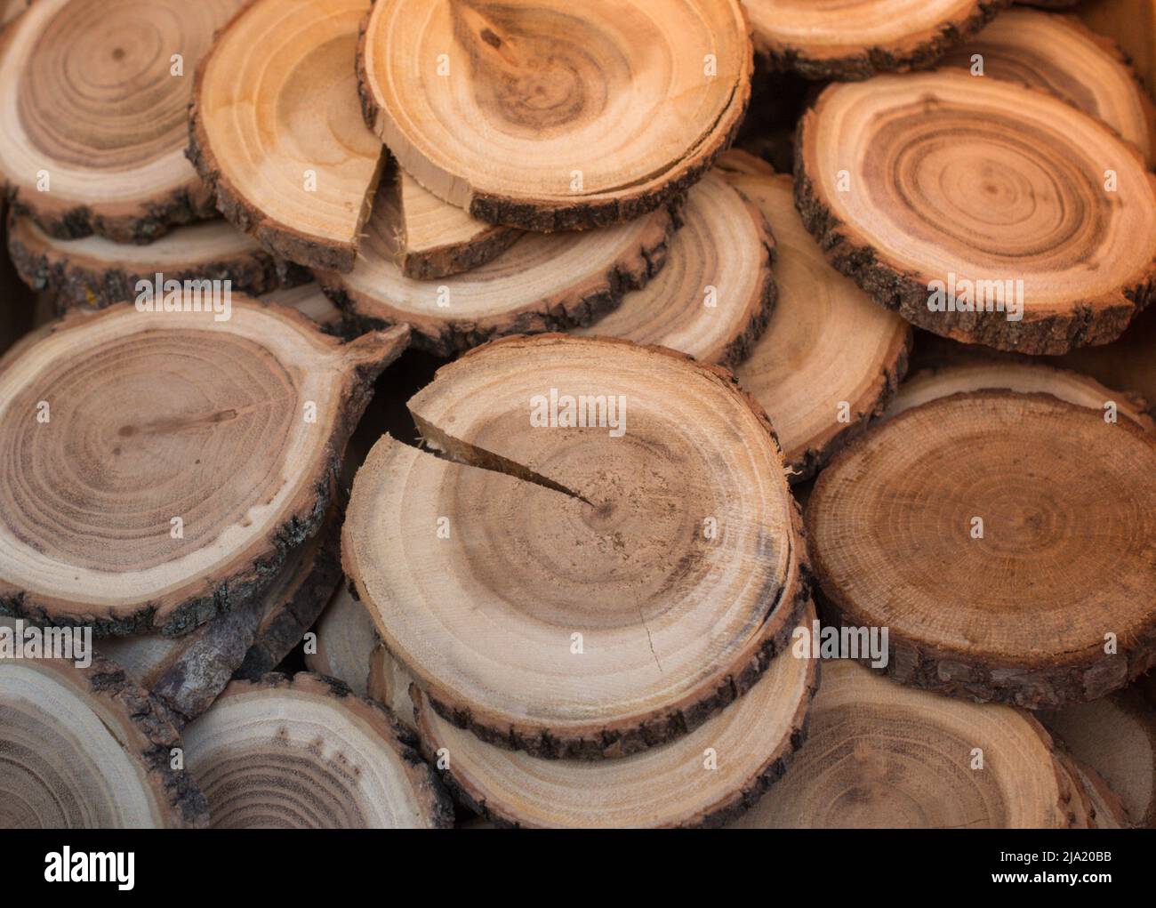 Natural wooden logs as round slices of wooden disc plates Stock Photo ...