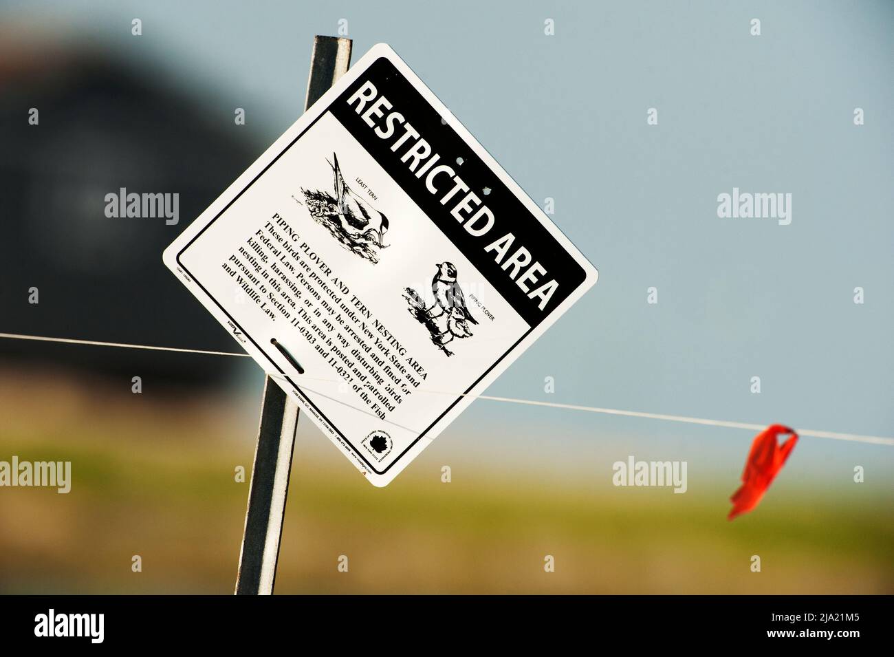Piping Plover and Tern restricted area sign Stock Photo - Alamy