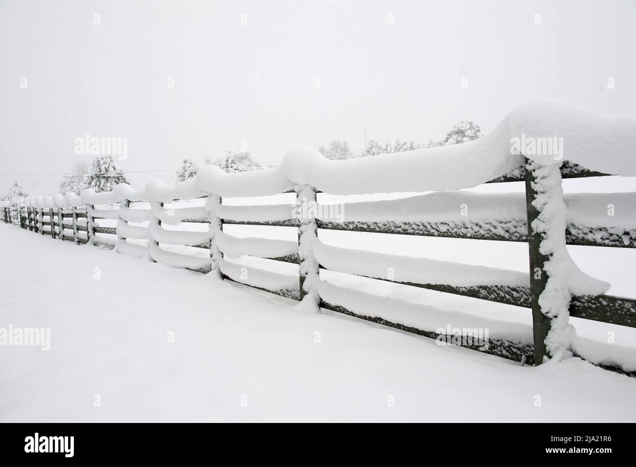 Late Spring snowstorm in Colorado Springs, May 20-21, 2022 Stock Photo ...