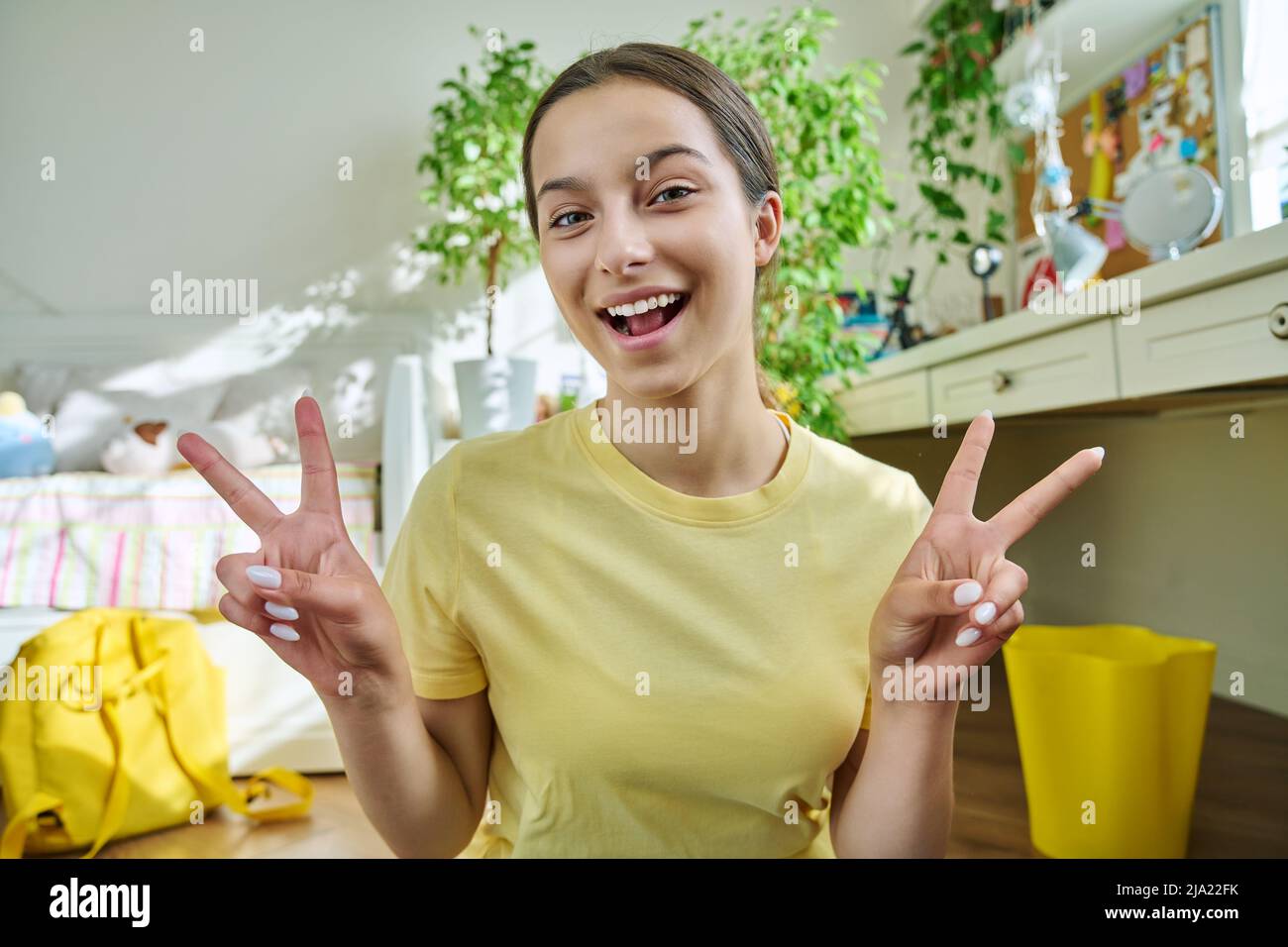 Teenage female student having video call, looking at webcam Stock Photo ...