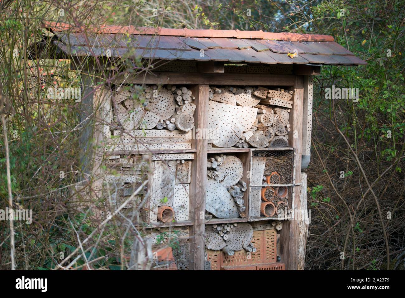Insect nesting aid, large stand with roof and different structures for ...