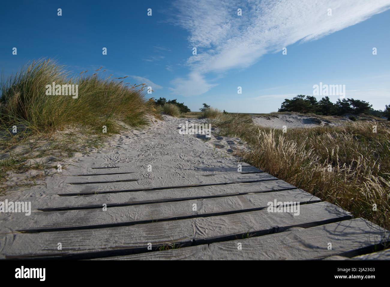 Wooden plank path through the dune, blue sky with beautiful cloud ...