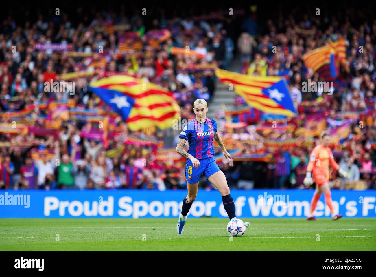 Mapi leon hi-res stock photography and images - Alamy