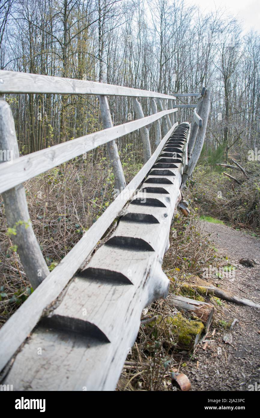 Inclusive and barrier-free nature trail Der Wilde Weg, adventure trail ...