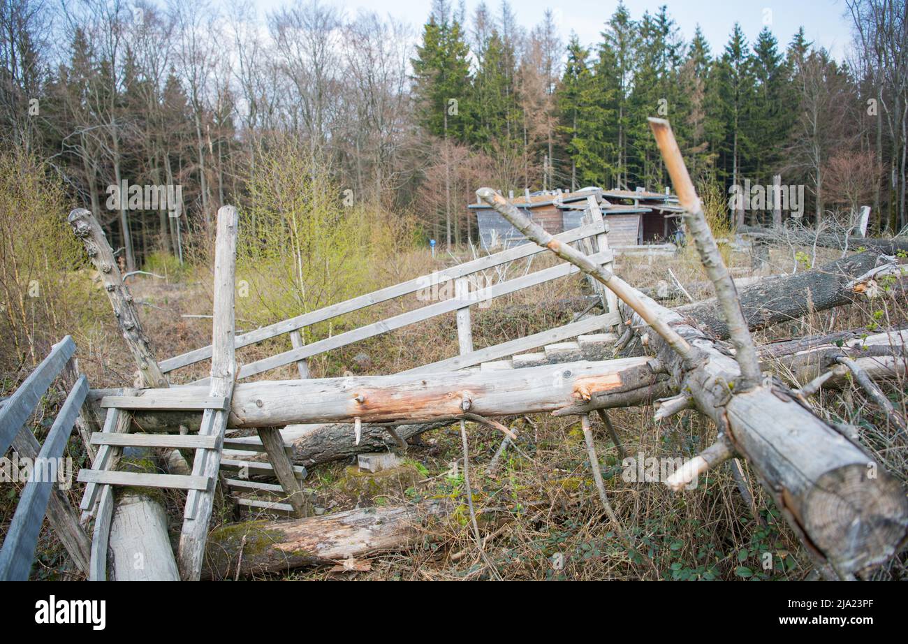 Inclusive and barrier-free nature trail Der Wilde Weg, adventure trail ...