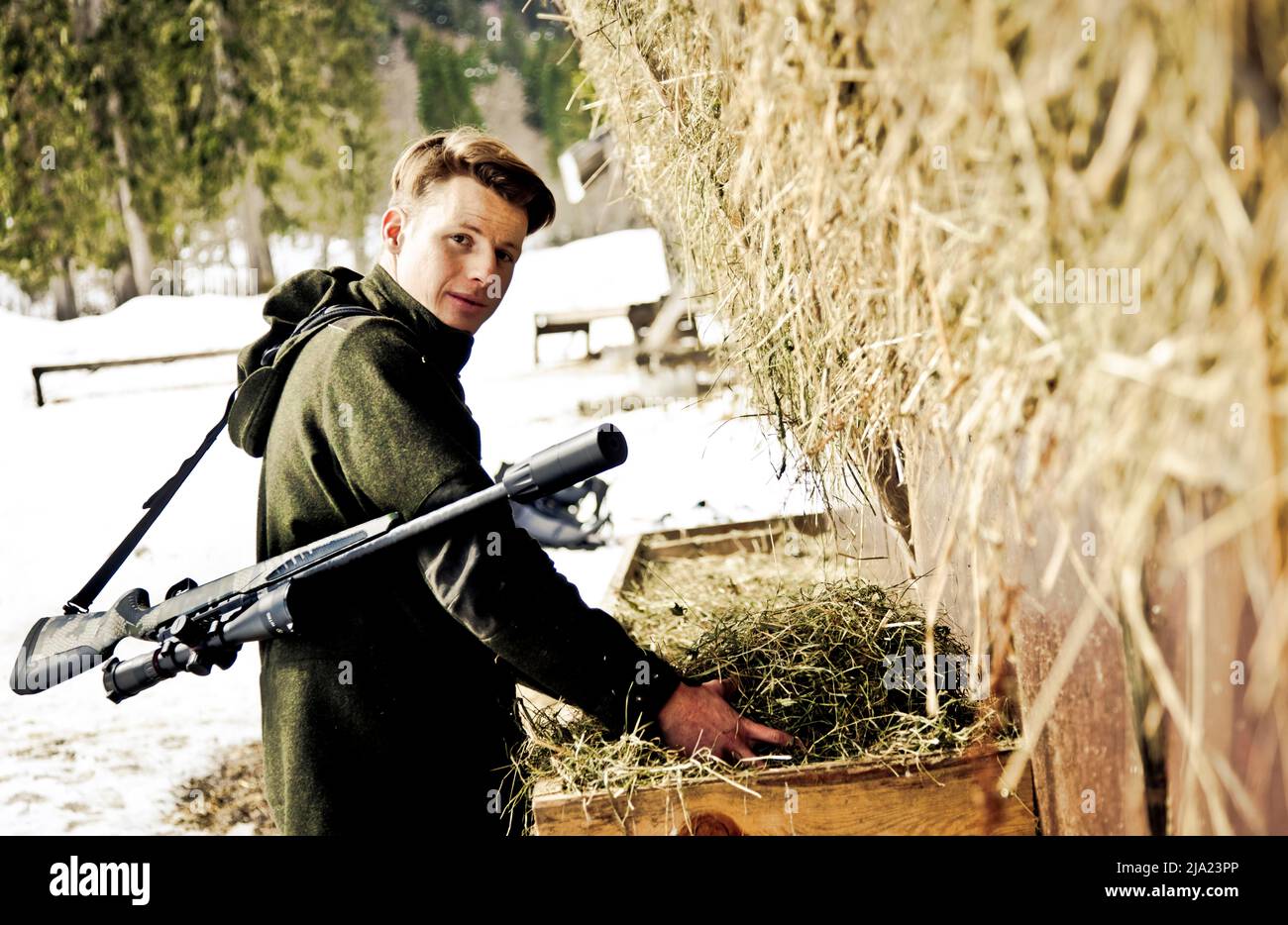 Hunter filling trough with hay, mountain hunting Karwendel Mountains ...