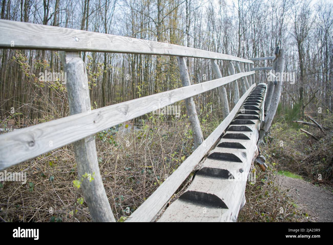 Inclusive and barrier-free nature trail Der Wilde Weg, adventure trail ...