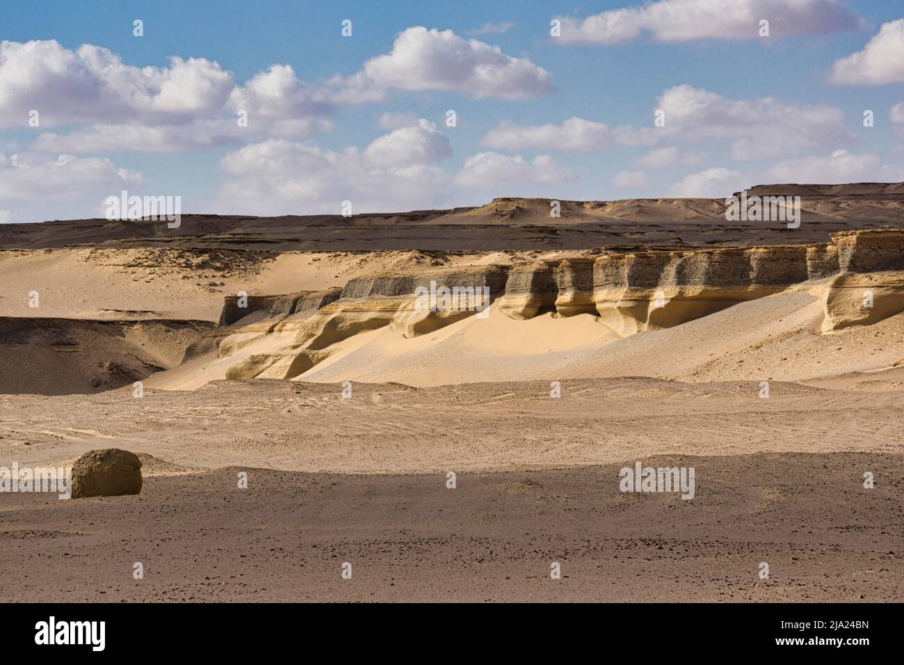 Fossil-bearing strata, Wadi Hitan, World Heritage Site, Fayum, Egypt ...