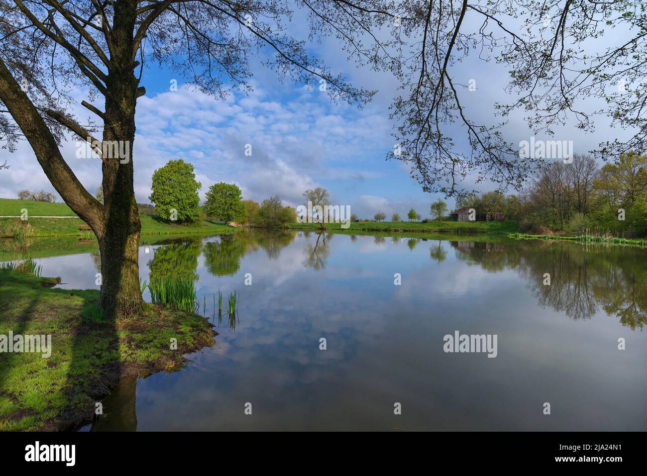 Reflection in the slave pond, Kalchreuth, Middle Franconia, Bavaria ...