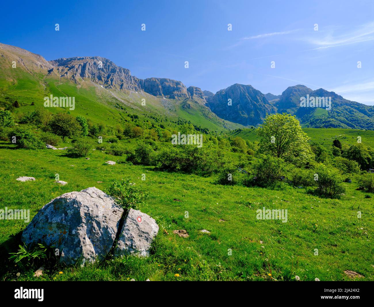 Alpine meadows below Mount Krn, Soca Valley, Triglav National Park ...