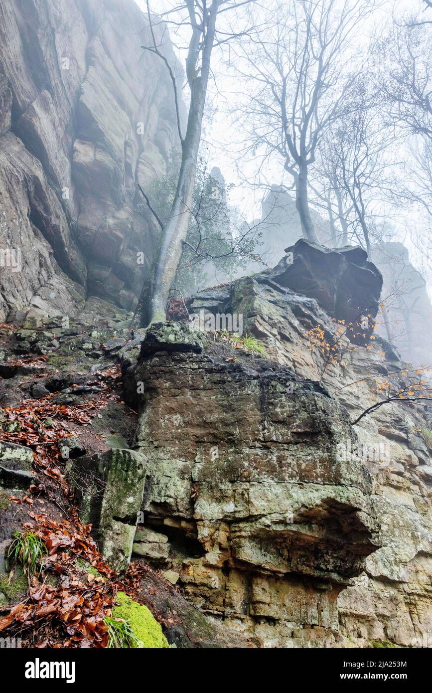 Bizarre rocky landscape in the mist, Mullerthal or Mullerthal ...
