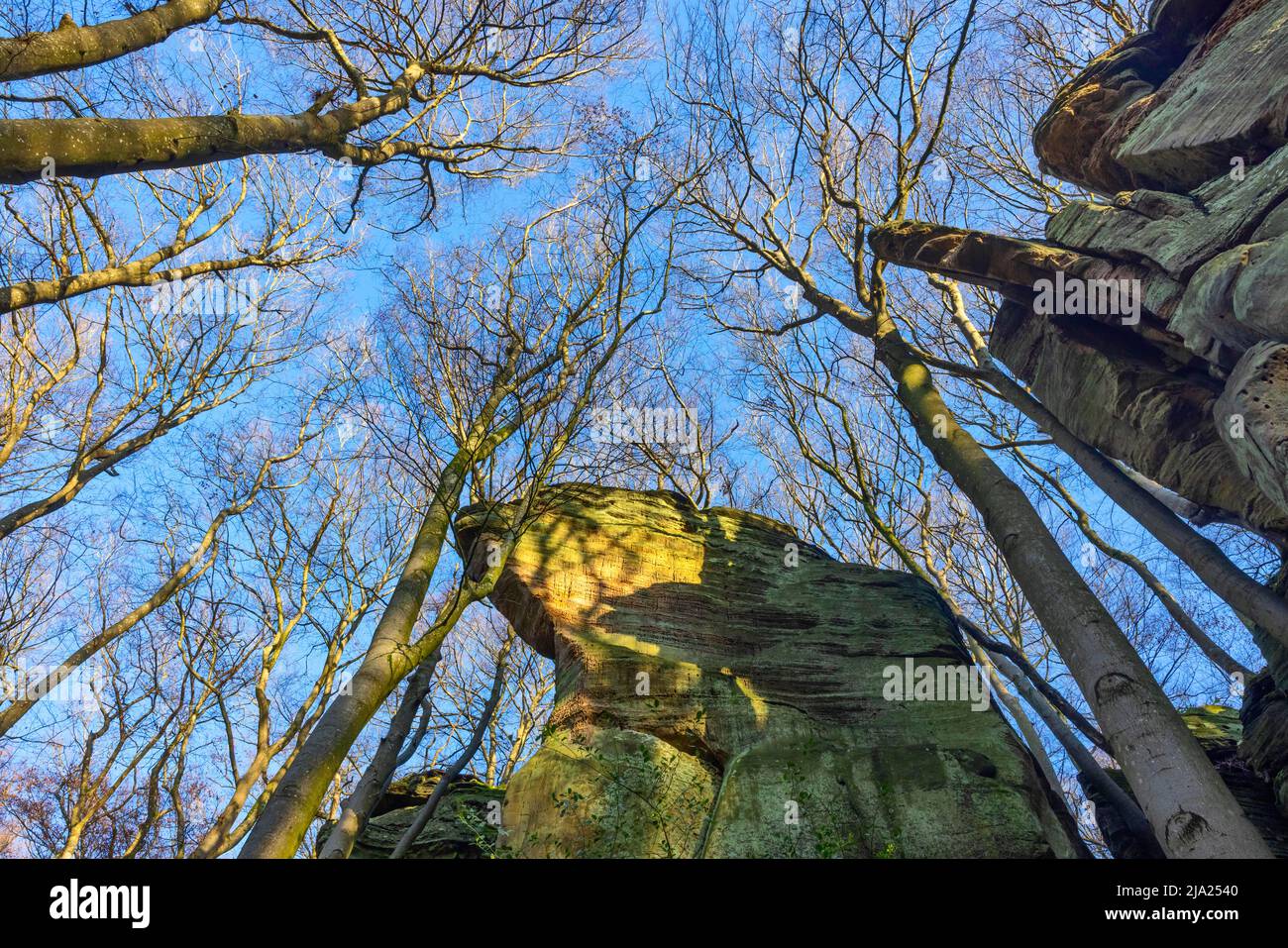 Bizarre rocky landscape, Mullerthal or Mullerthal, Little Luxembourg ...