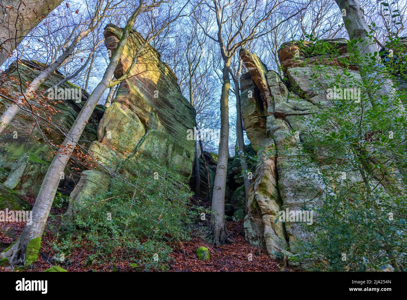 Bizarre rocky landscape, Mullerthal or Mullerthal, Little Luxembourg ...