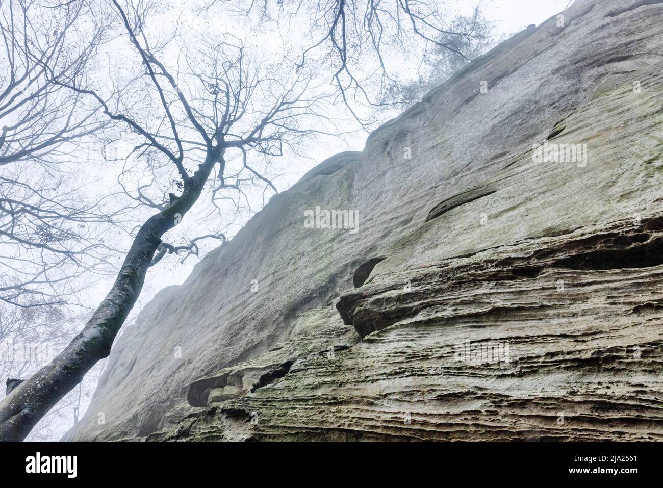 Bizarre rocky landscape in the mist, Mullerthal or Mullerthal, Luxembourg's Little Switzerland ...