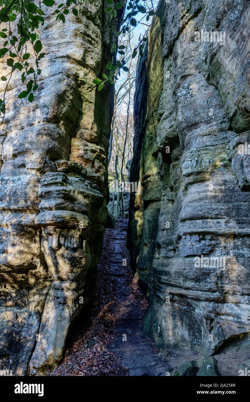 Mullerthal Trail, hiking trail through wild rocky landscape with ...