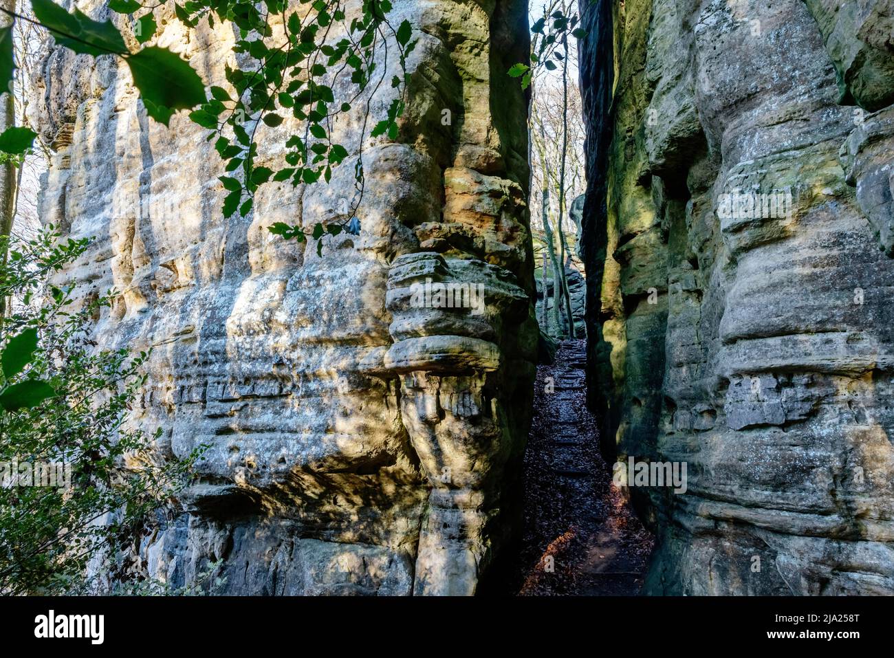 Mullerthal Trail, hiking trail through wild rocky landscape with ...
