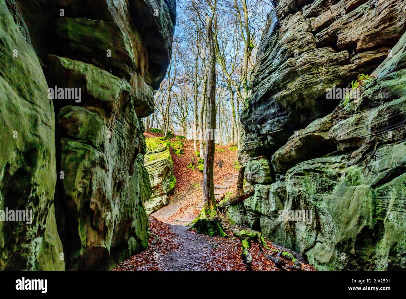 Mullerthal Trail, hiking trail through wild rocky landscape with ...