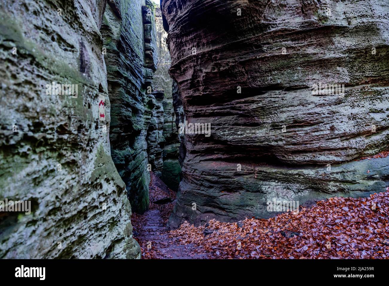 Rock gorge on the Mullerthal Trail, hiking trail through wild rocky ...