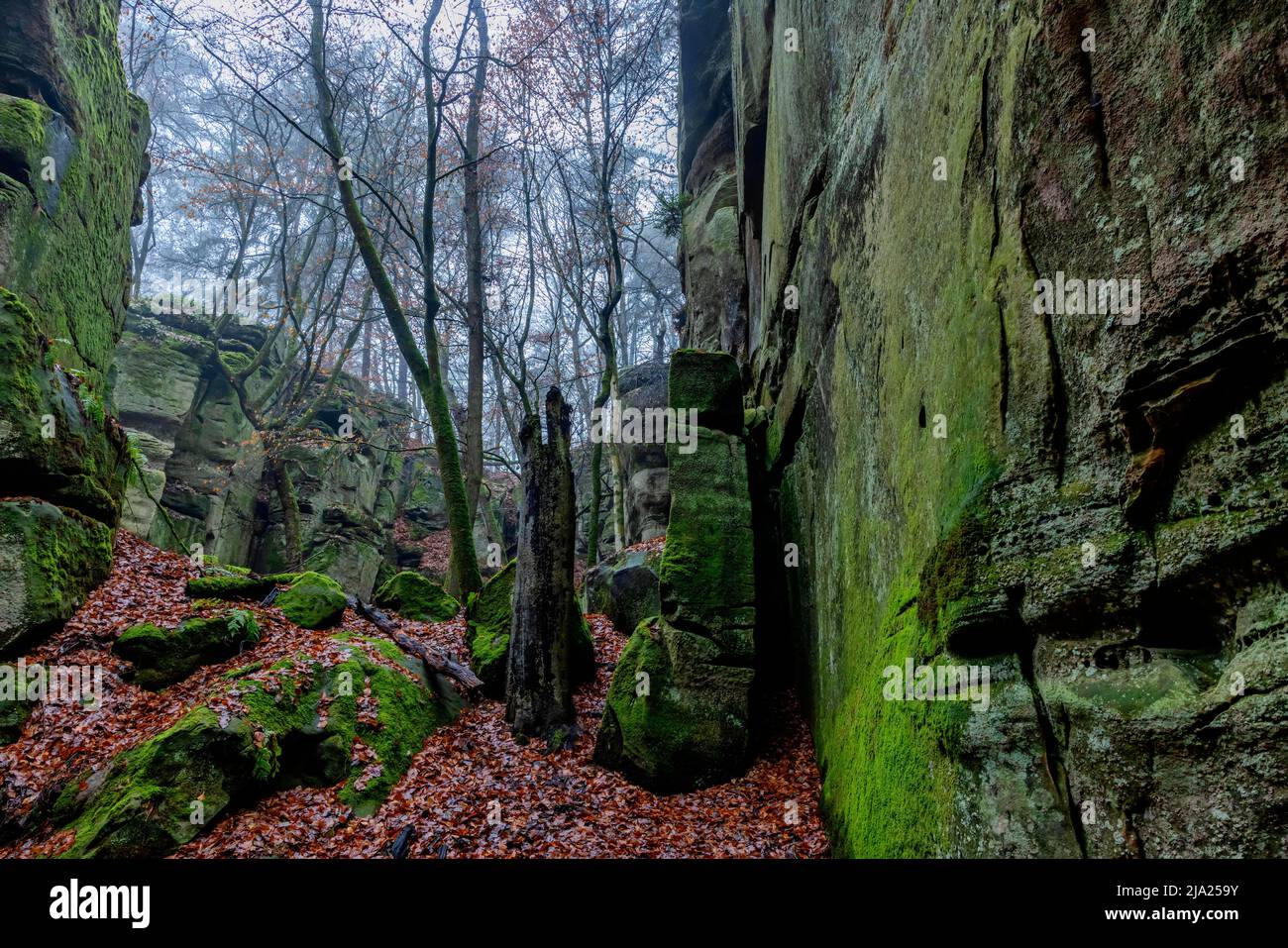 Bizarre rocky landscape, Mullerthal or Mullerthal, Little Luxembourg ...