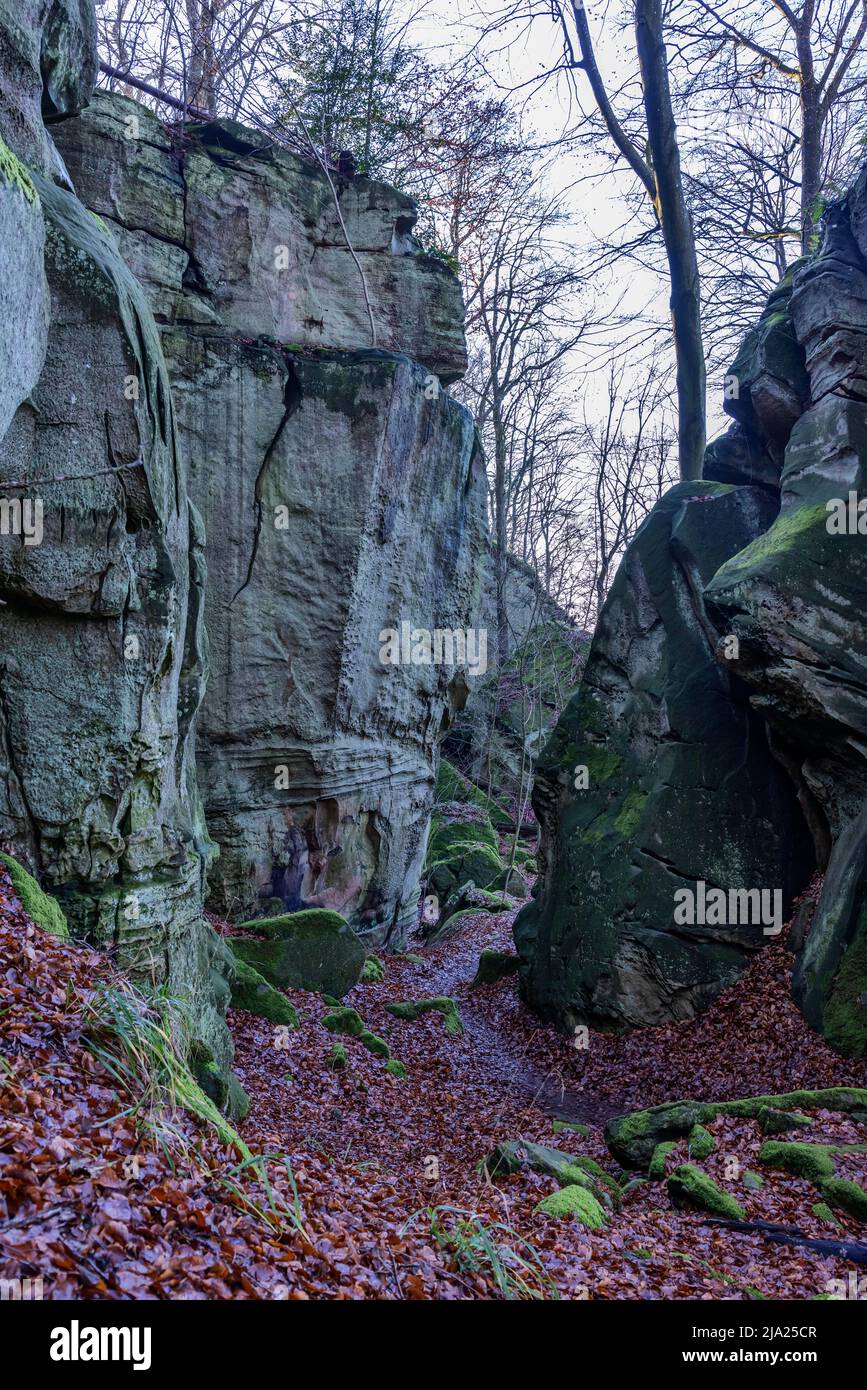 Bizarre rocky landscape, Mullerthal or Mullerthal, Little Luxembourg ...