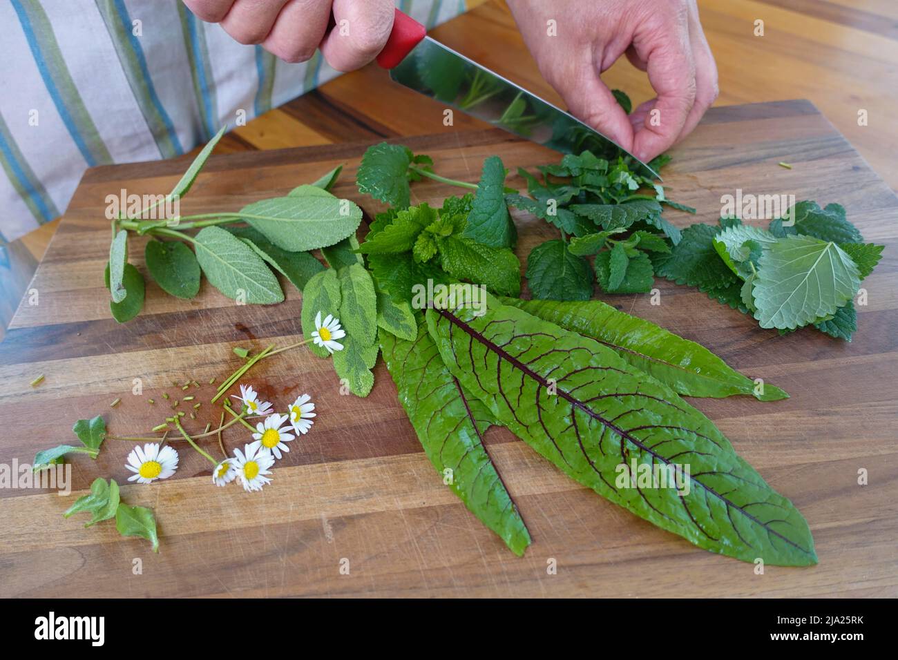 Southern German cuisine, herbs on chopping board, common daisy (Bellis ...
