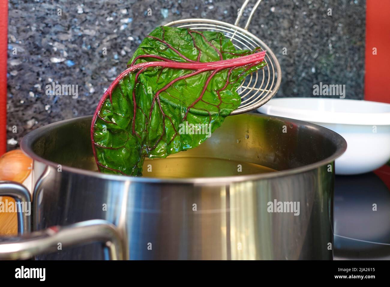 Bietigheim leaf frogs hi-res stock photography and images - Alamy