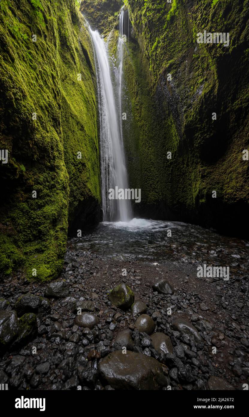 Waterfall, river in Nauthusagil Gorge, South Iceland, Iceland Stock ...