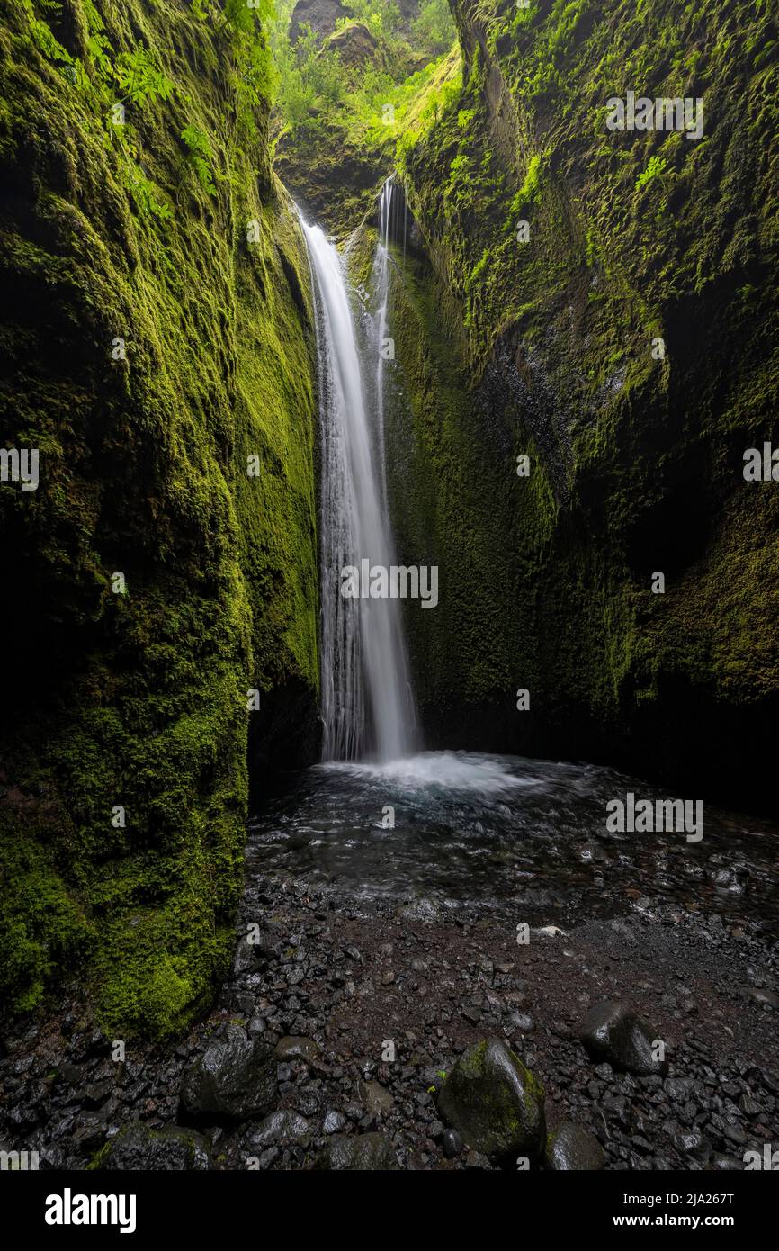 Waterfall, river in Nauthusagil Gorge, South Iceland, Iceland Stock ...