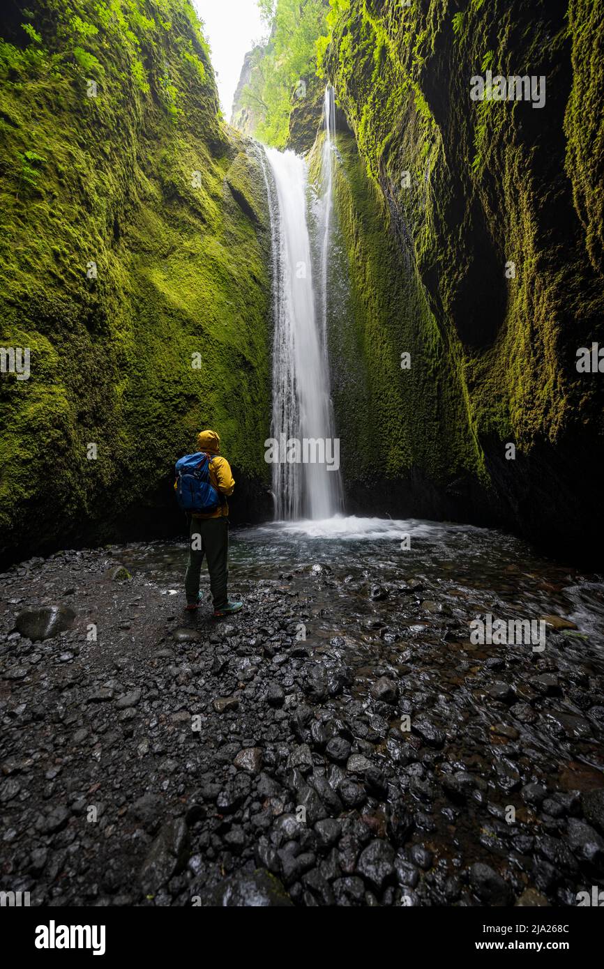 Hikers in front of waterfall, river in Nauthusagil Gorge, South Iceland ...