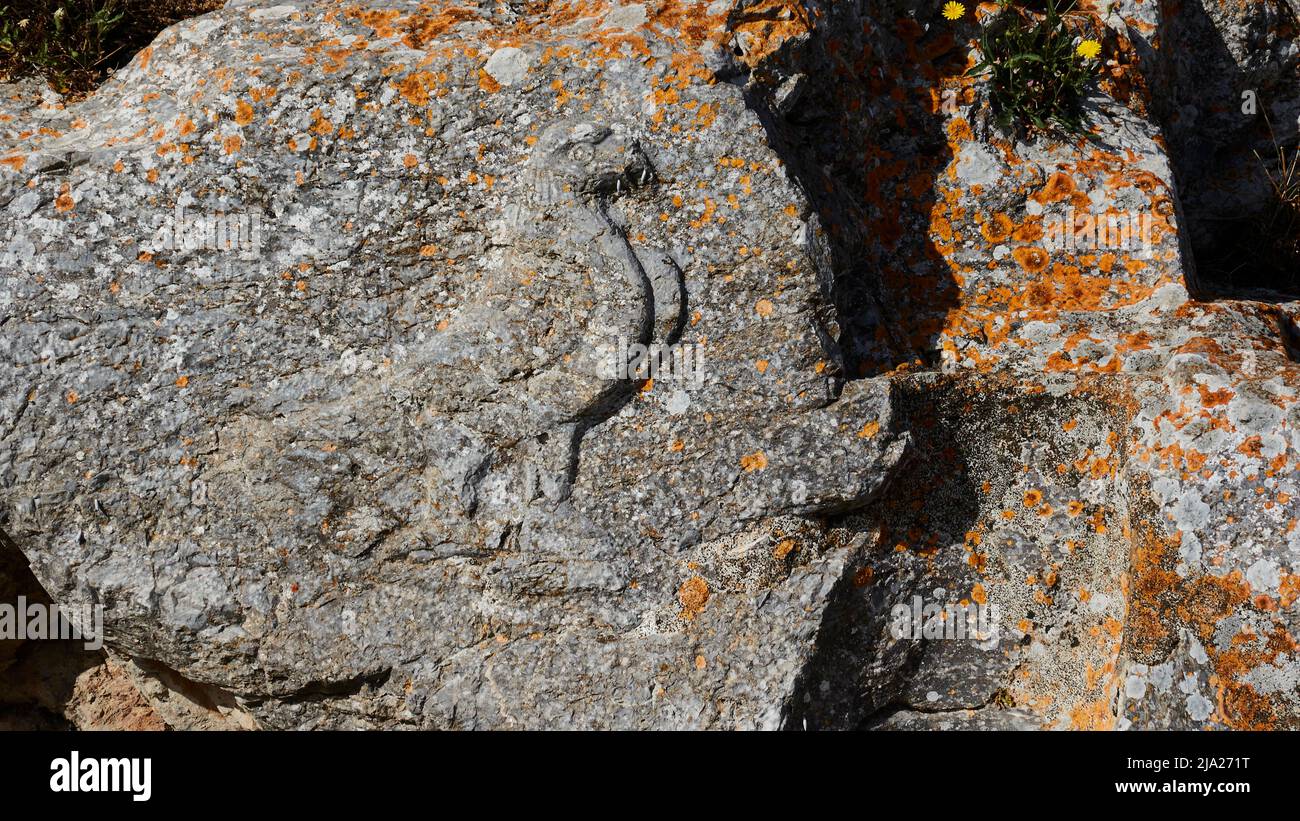 Ancient relief, close-up, bird of prey, Ancient Thera, mountain top ...