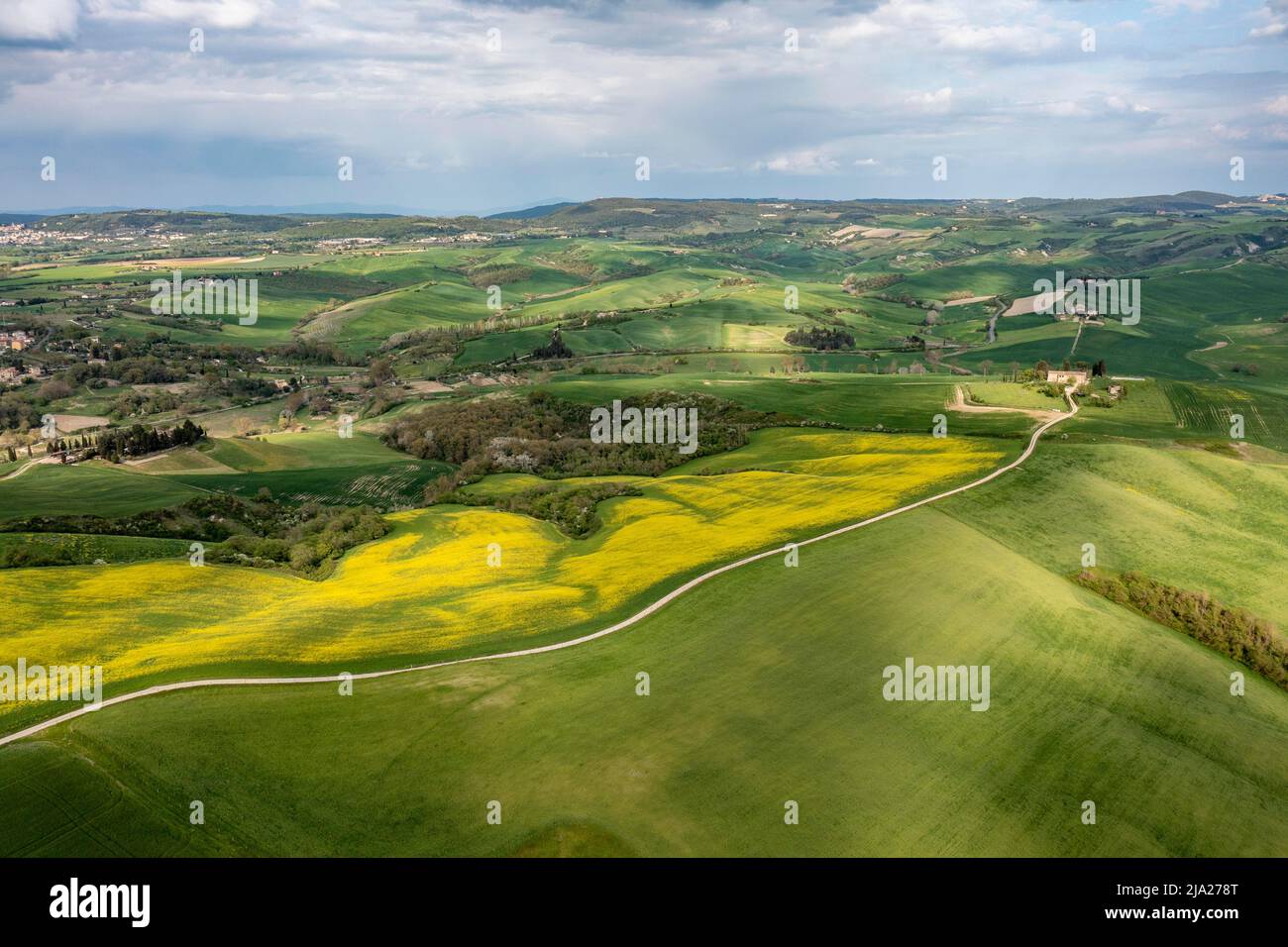 Aerial view, Hilly landscape with cypresses (Cupressus), Crete Senesi ...